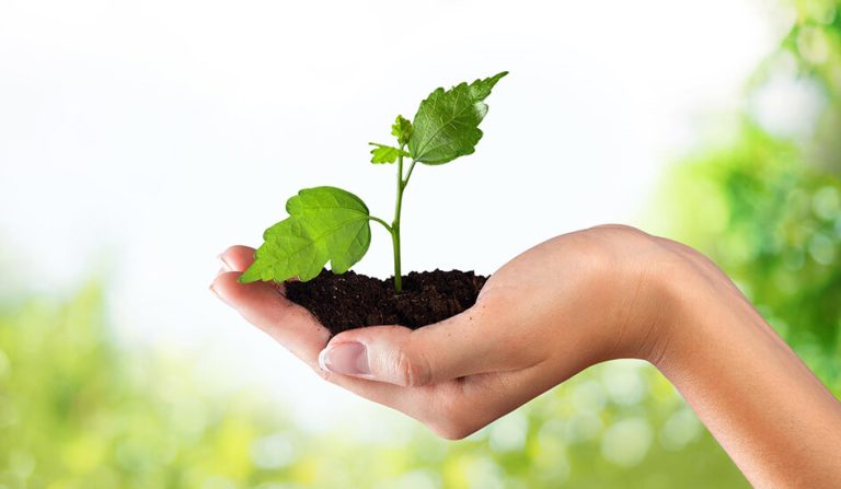 Think Green – Pioneer in providing safe and reliable electronic waste ...